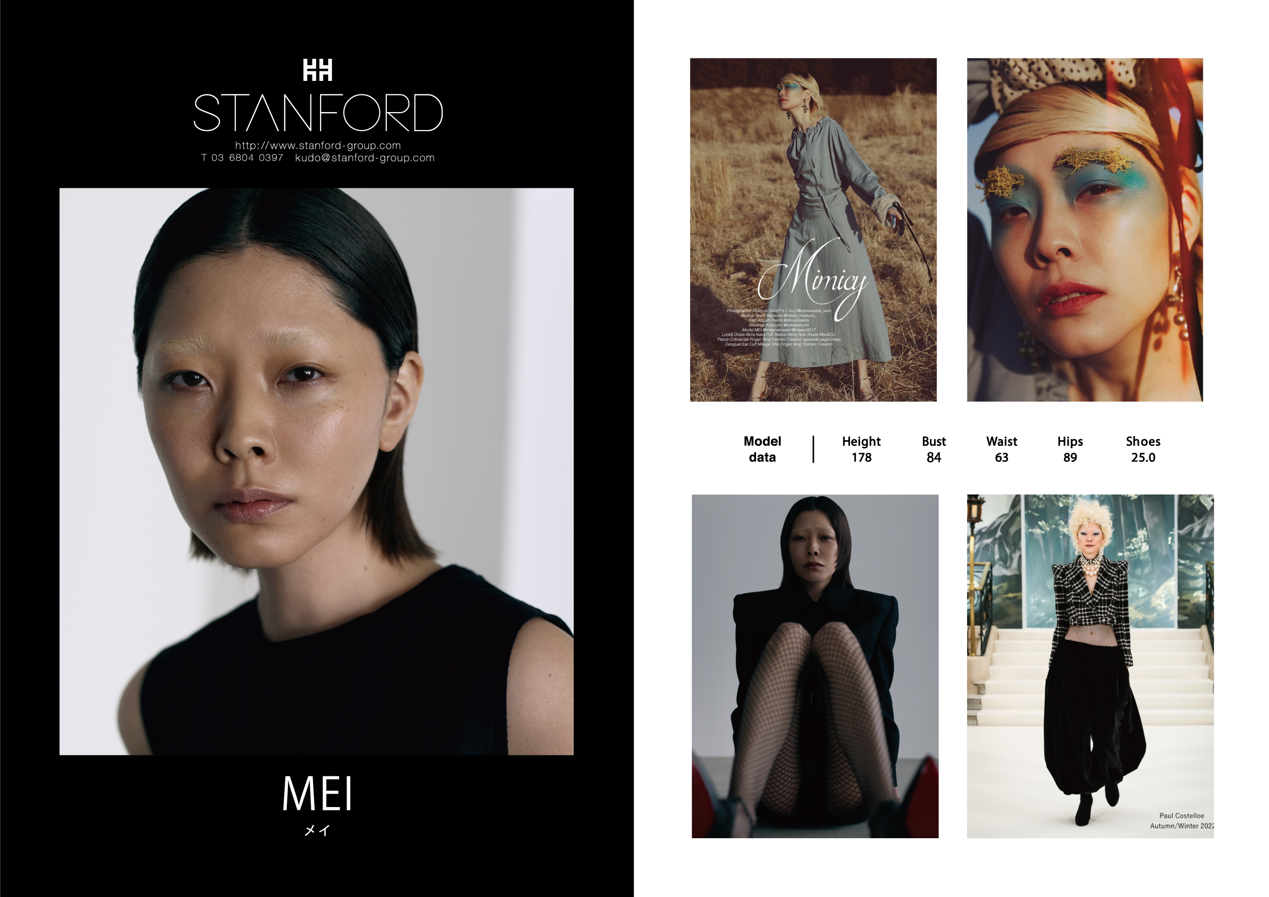 MEI - STANFORD & INFINITY